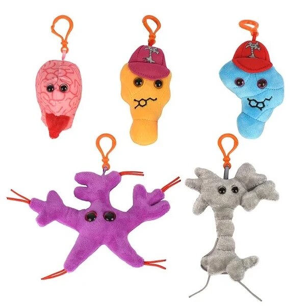 Brain Science Gift Box | USU Campus Store